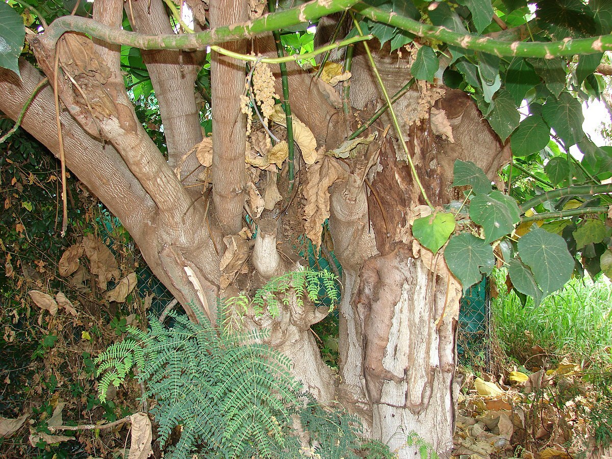 Sheffield's Seed Company