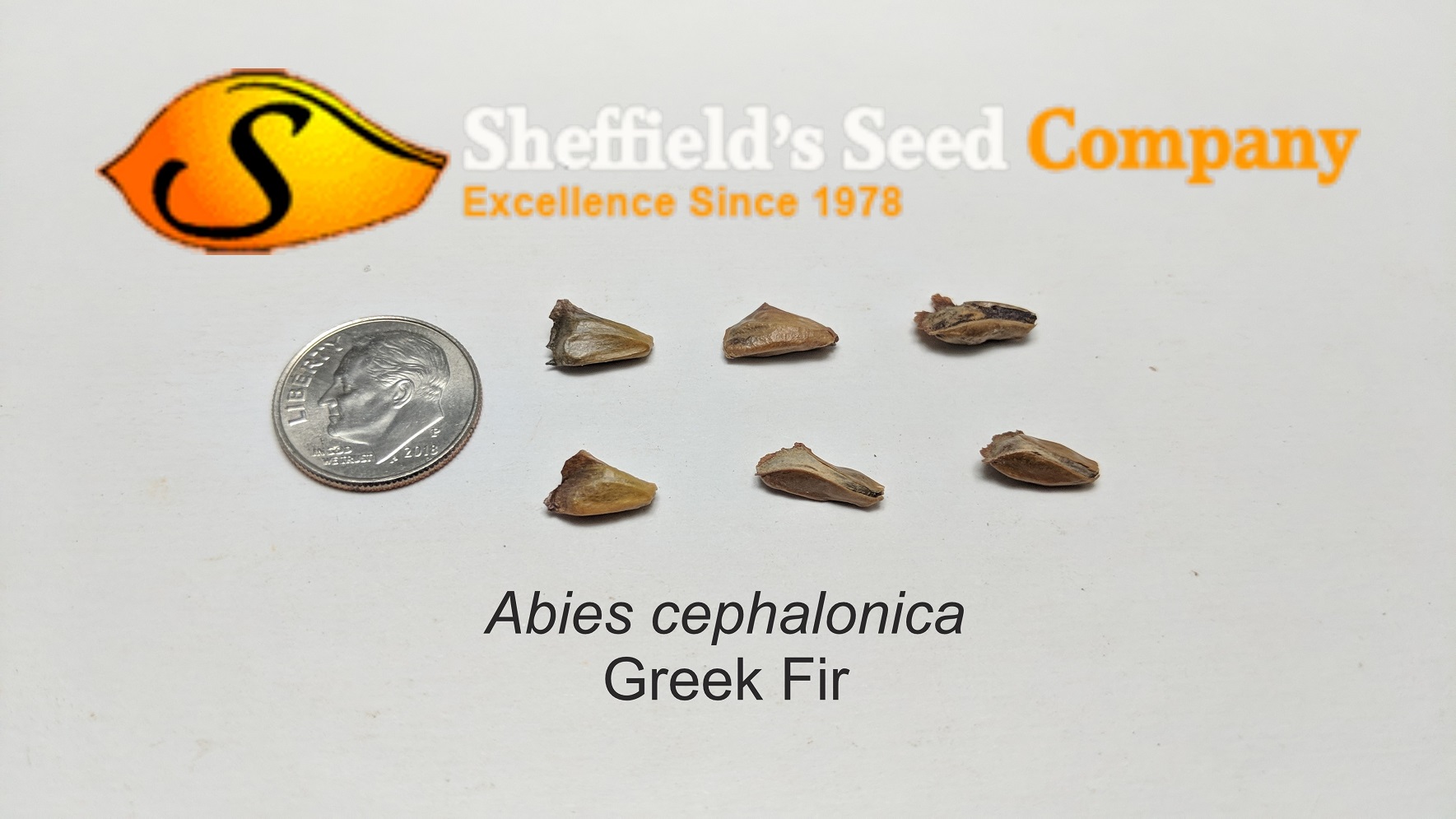 Sheffield's Seed Company