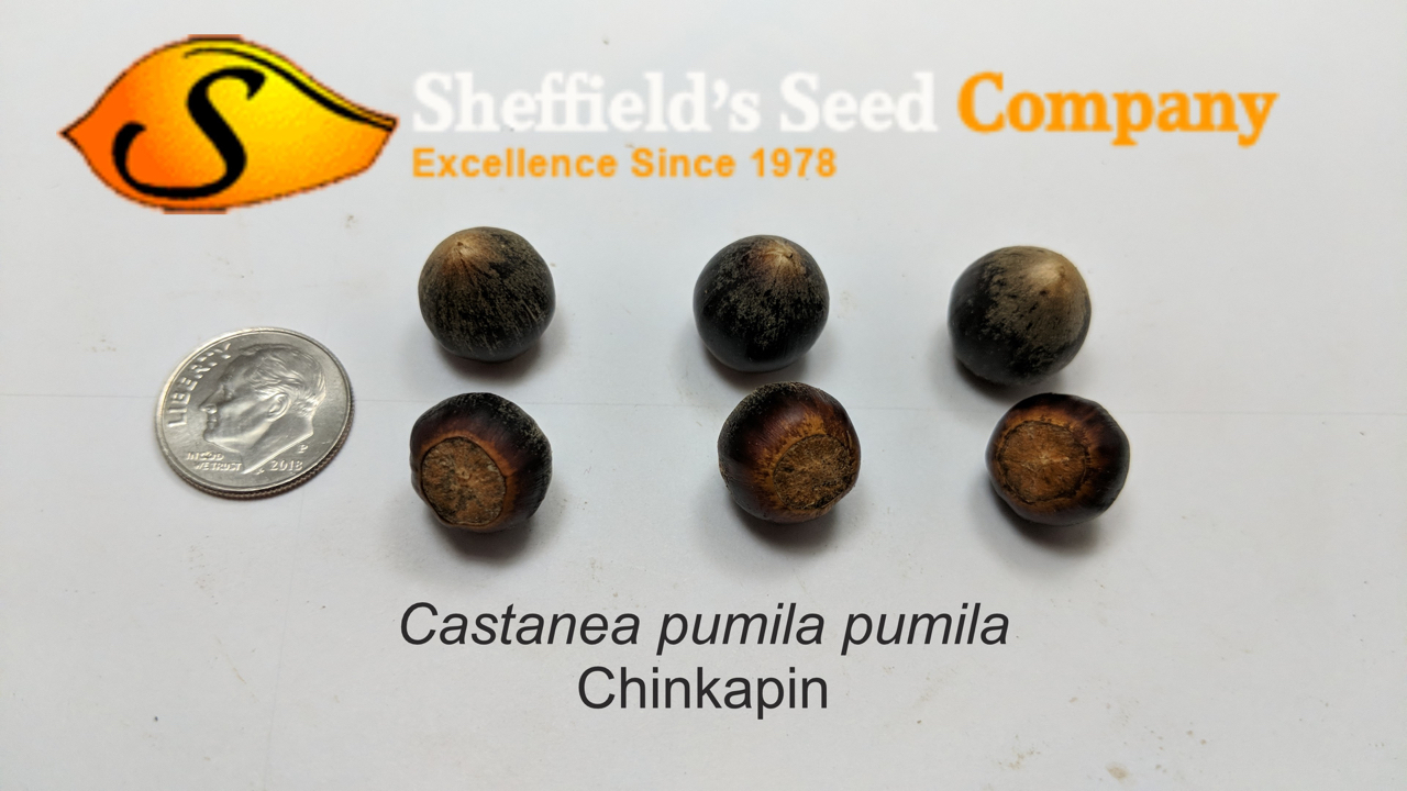 Sheffield's Seed Company