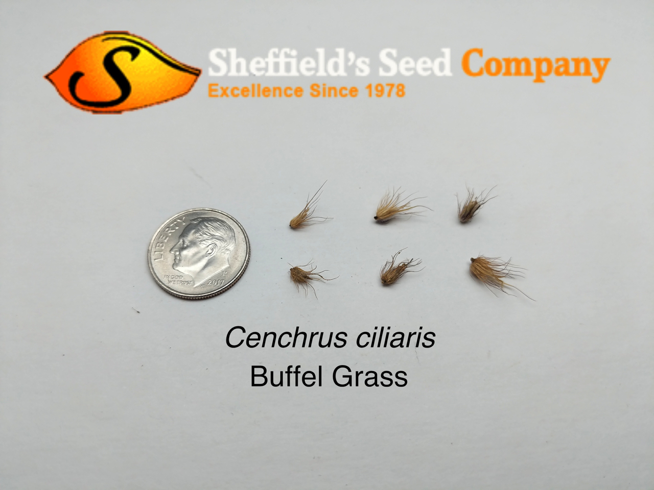 Sheffield's Seed Company
