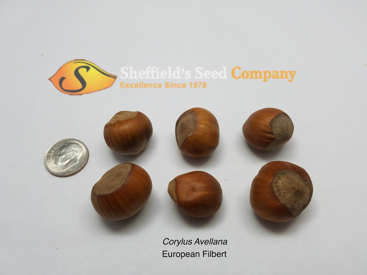 Sheffield's Seed Company