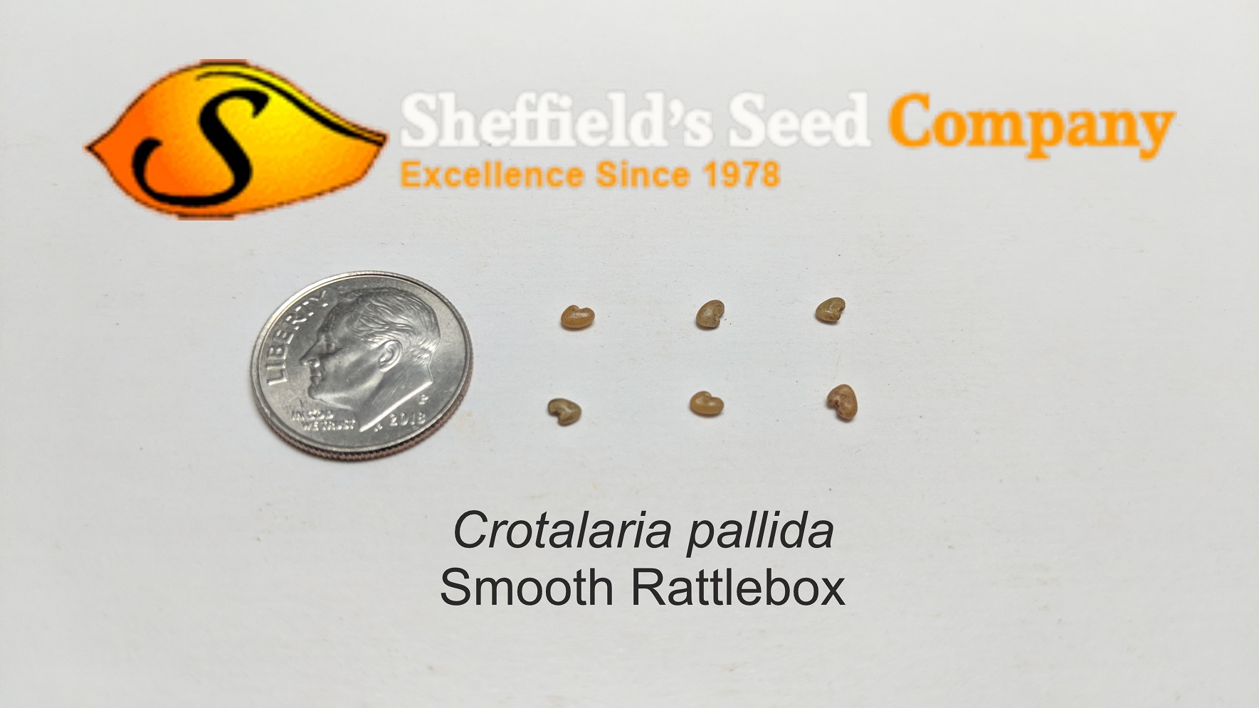 Sheffield's Seed Company