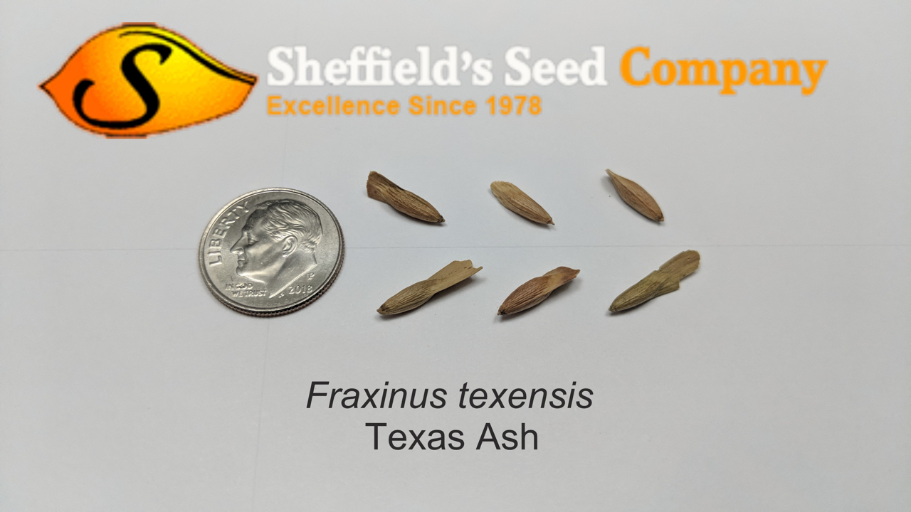 Sheffield's Seed Company