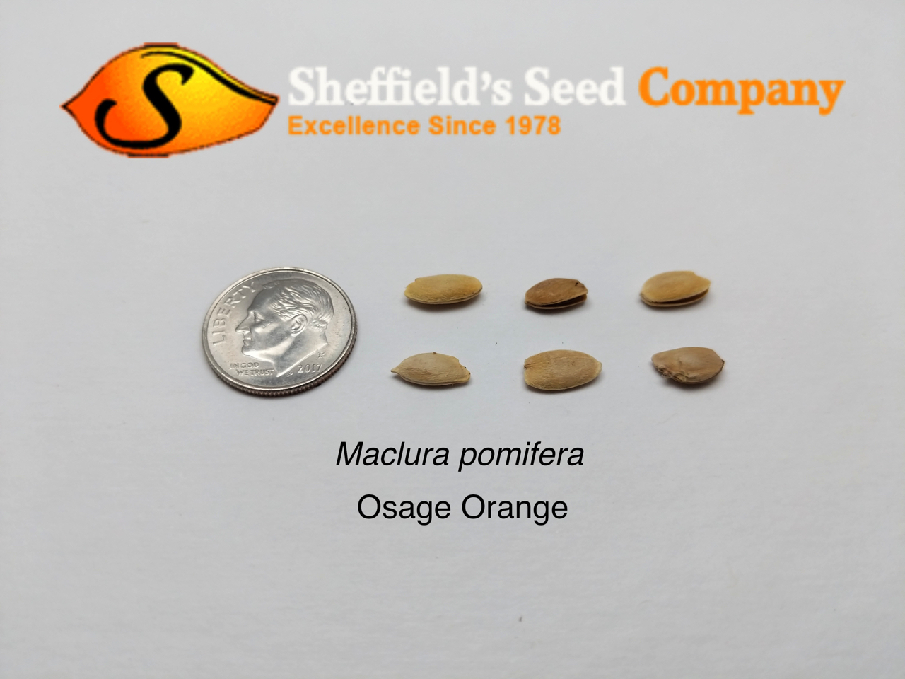 Sheffield's Seed Company