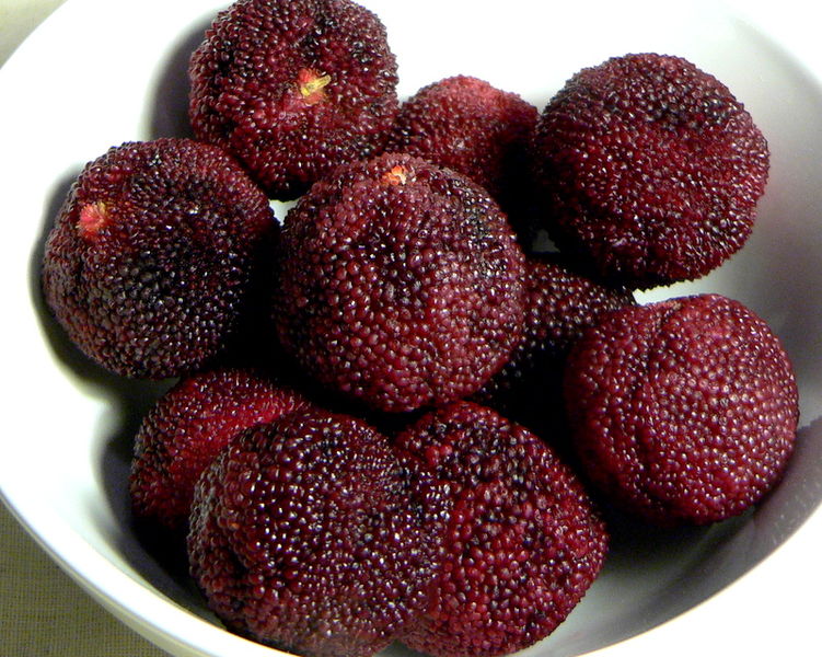 Sheffield's Seed Company