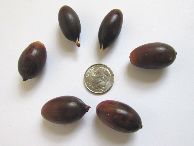 Sheffield's Seed Company