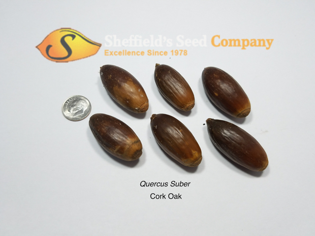 Sheffield's Seed Company