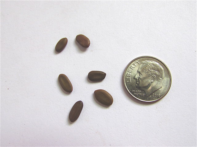 Sheffield's Seed Company