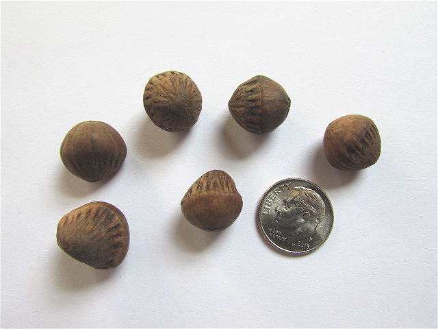 Sheffield's Seed Company