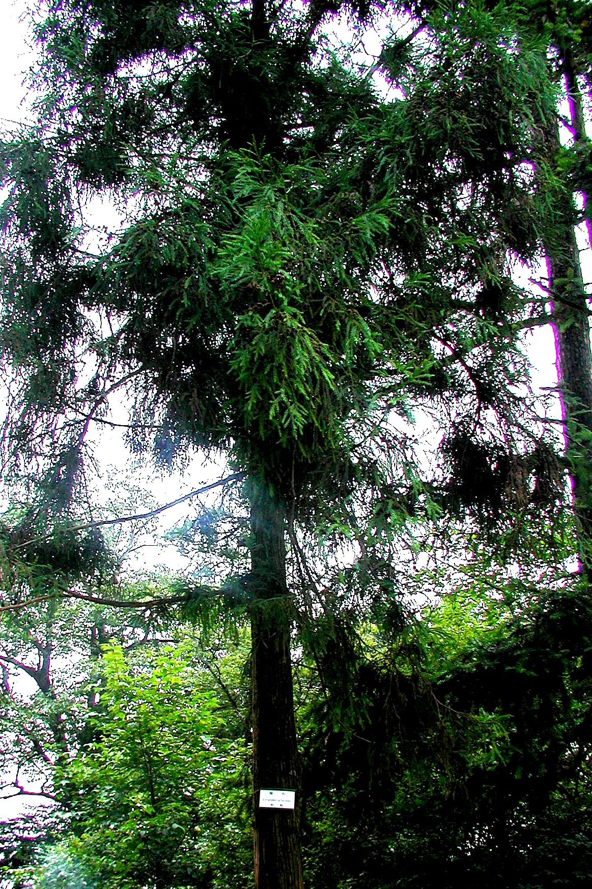 Sheffield's Seed Company