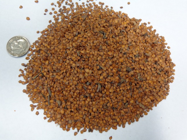 Sheffield's Seed Company