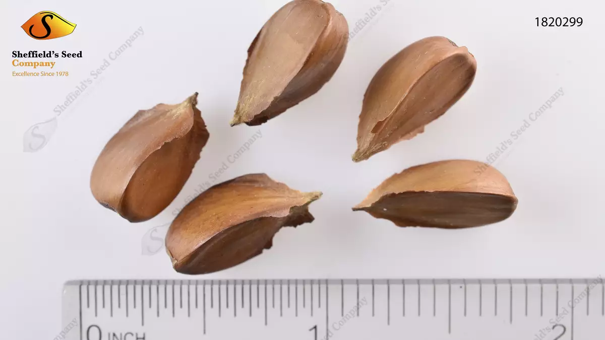 Sheffield's Seed Company