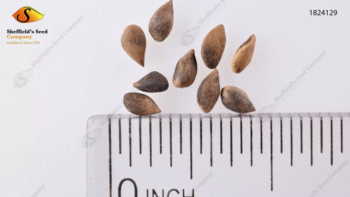 Sheffield's Seed Company