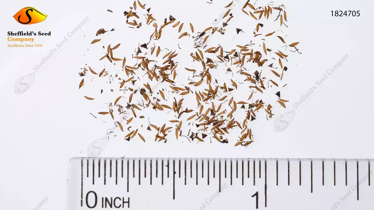 Sheffield's Seed Company