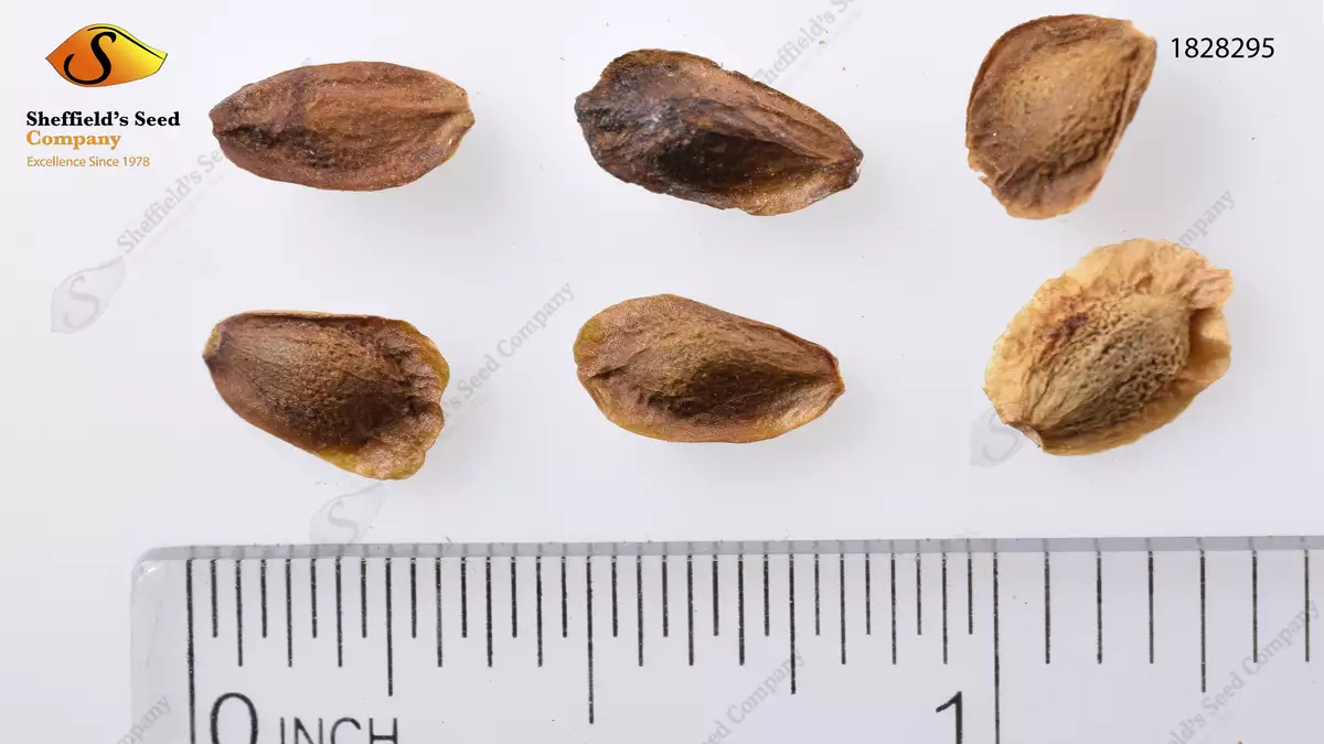 Sheffield's Seed Company