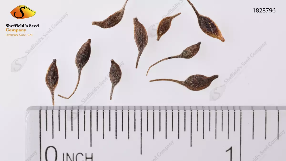 Sheffield's Seed Company