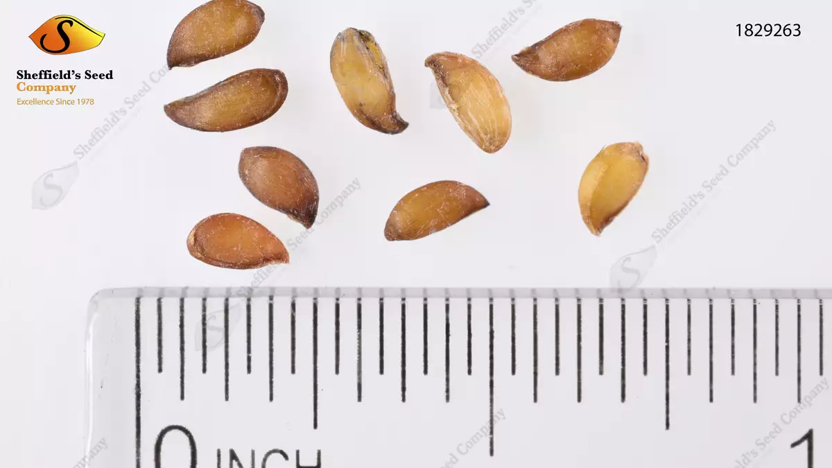 Sheffield's Seed Company