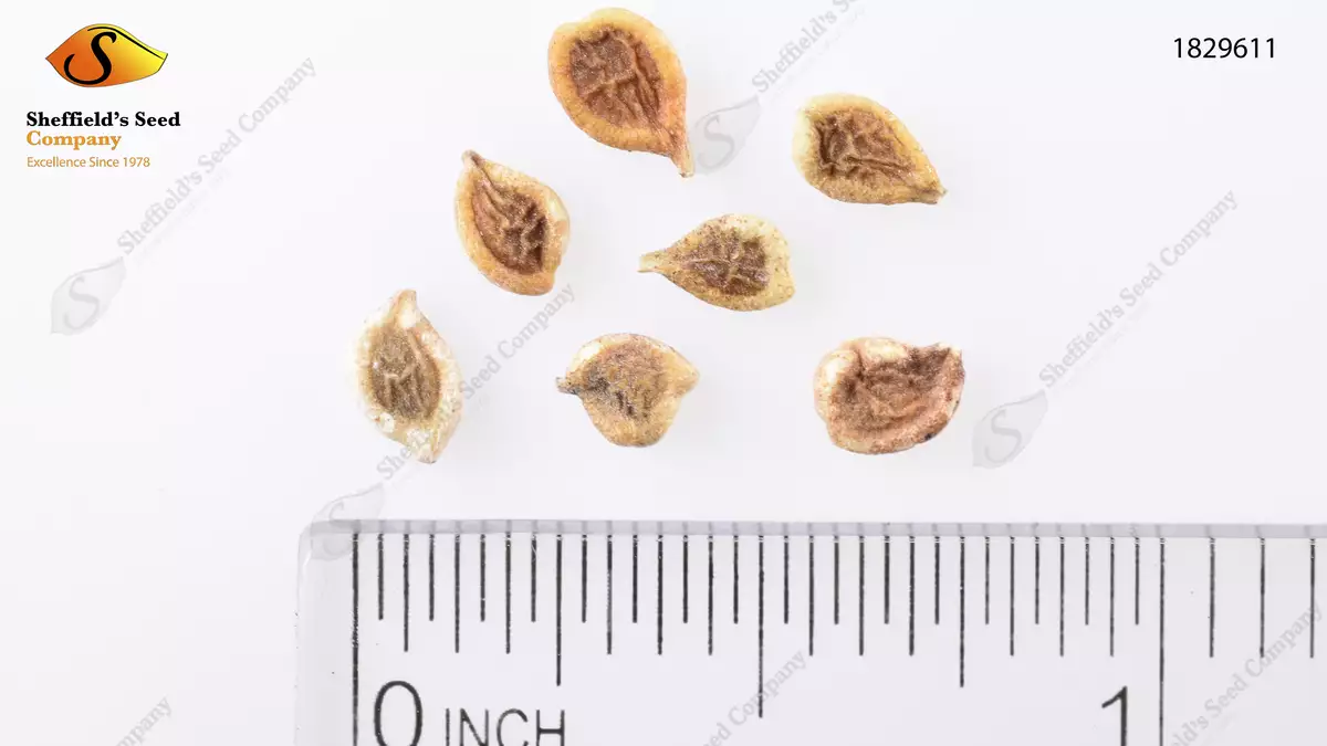 Sheffield's Seed Company