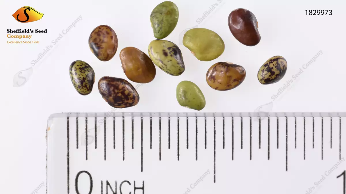 Sheffield's Seed Company