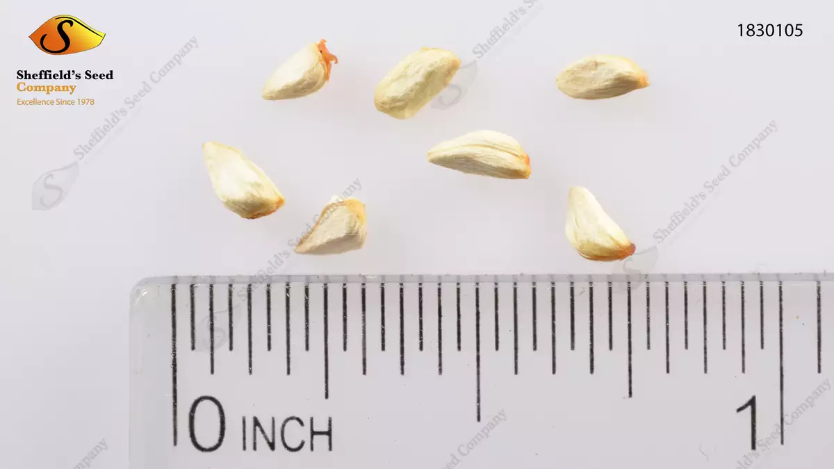 Sheffield's Seed Company