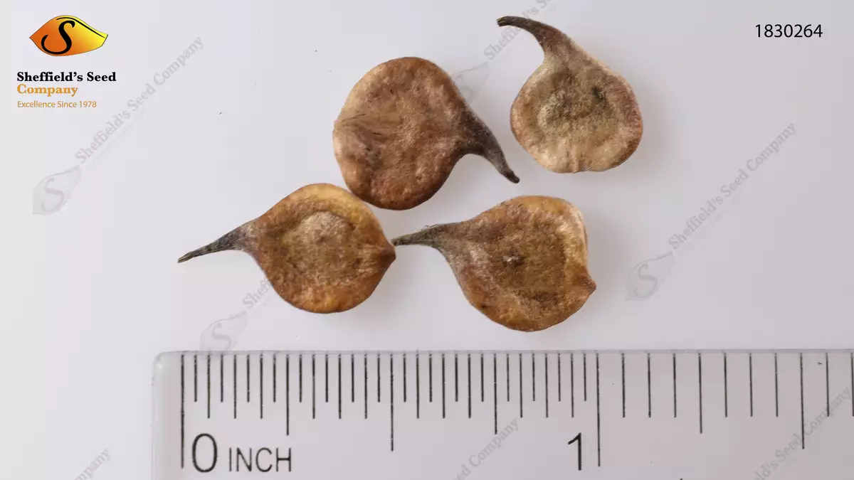 Sheffield's Seed Company