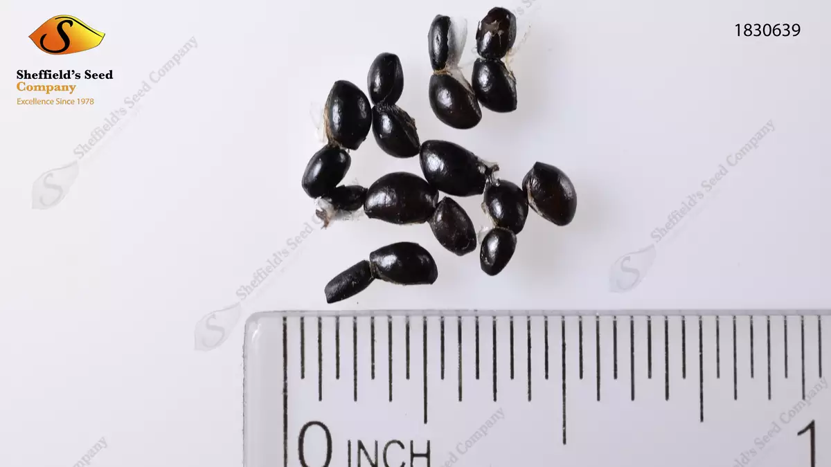 Sheffield's Seed Company