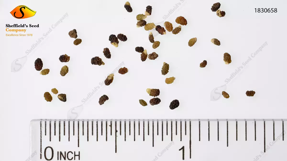 Sheffield's Seed Company