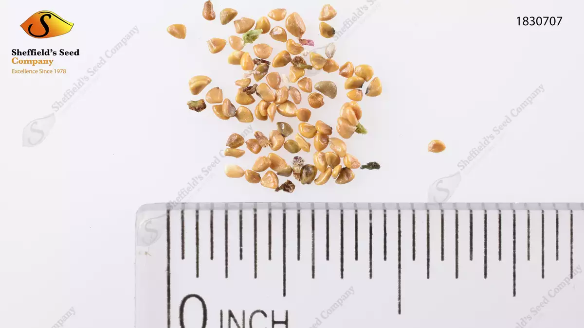 Sheffield's Seed Company