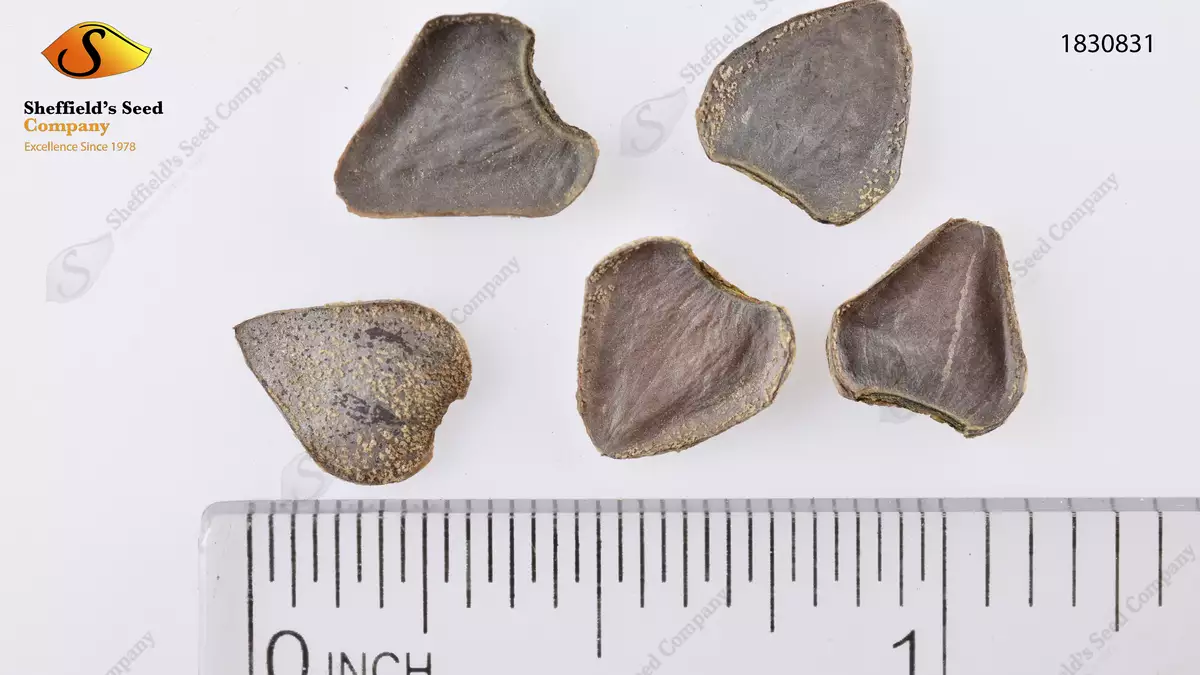 Sheffield's Seed Company