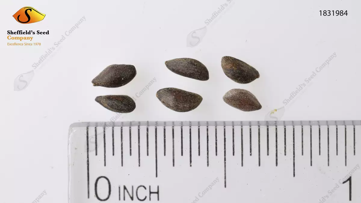 Sheffield's Seed Company