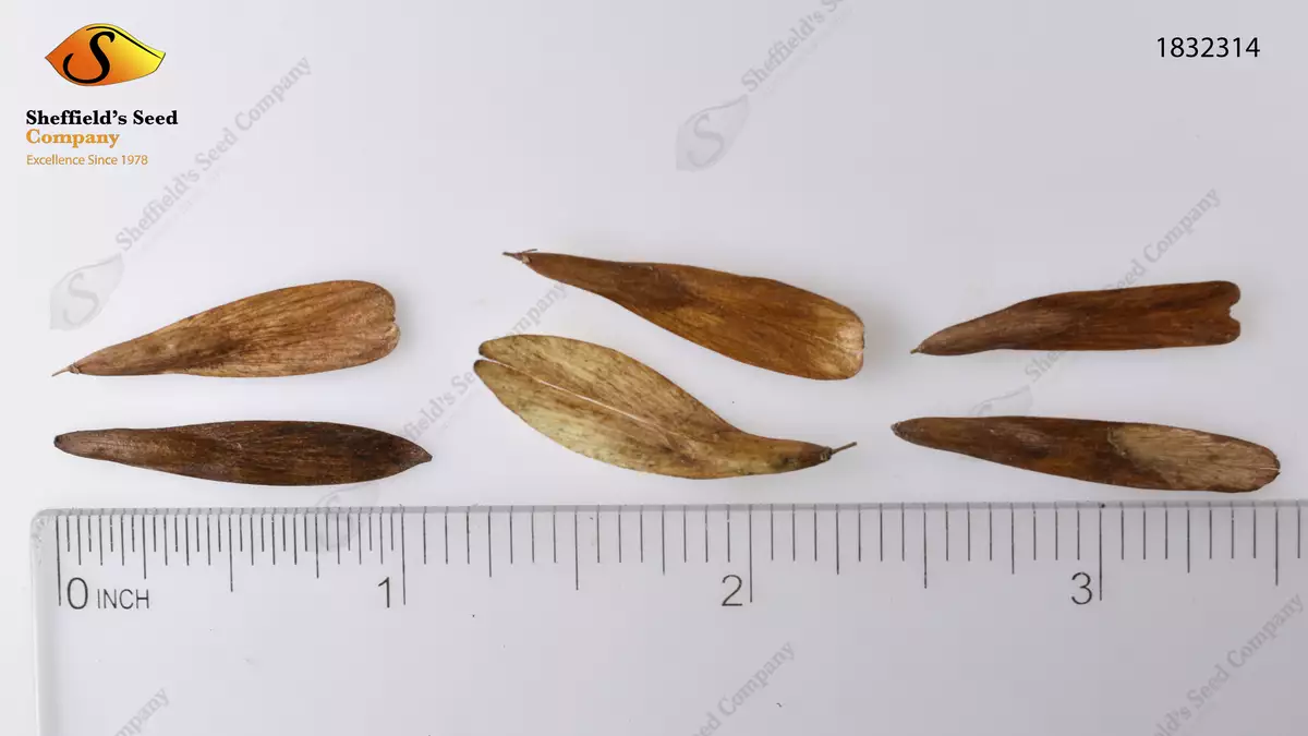 Sheffield's Seed Company