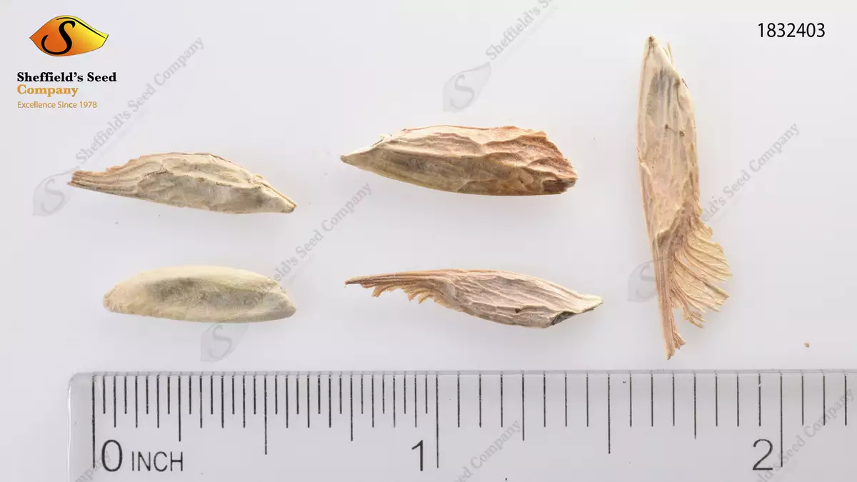 Sheffield's Seed Company