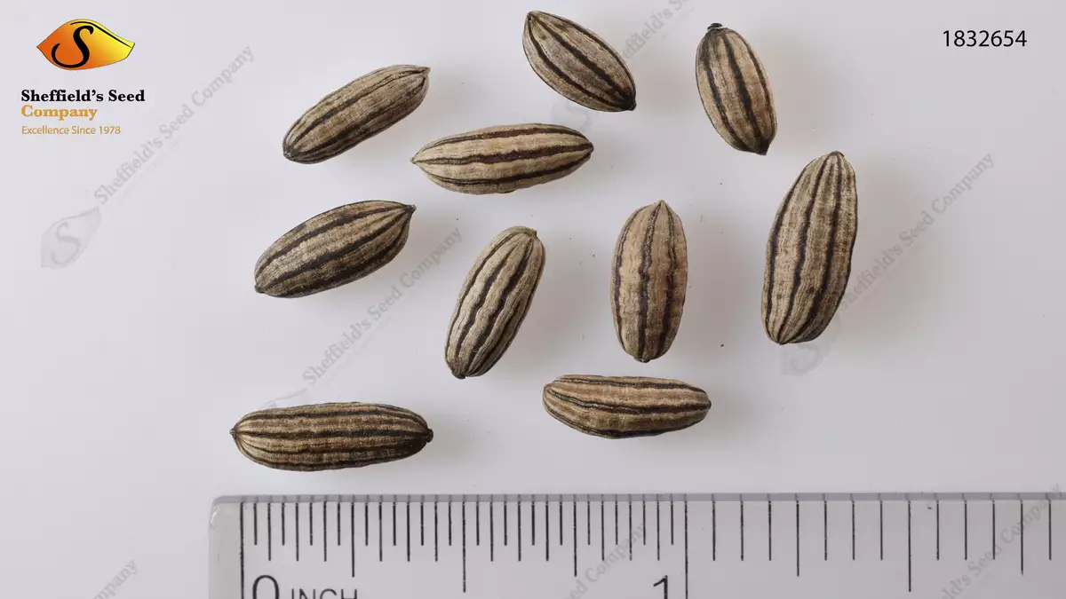 Sheffield's Seed Company