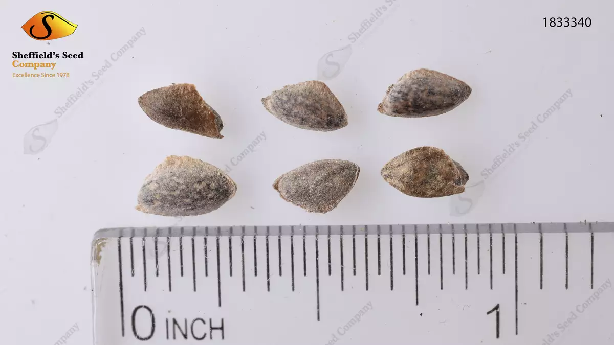 Sheffield's Seed Company