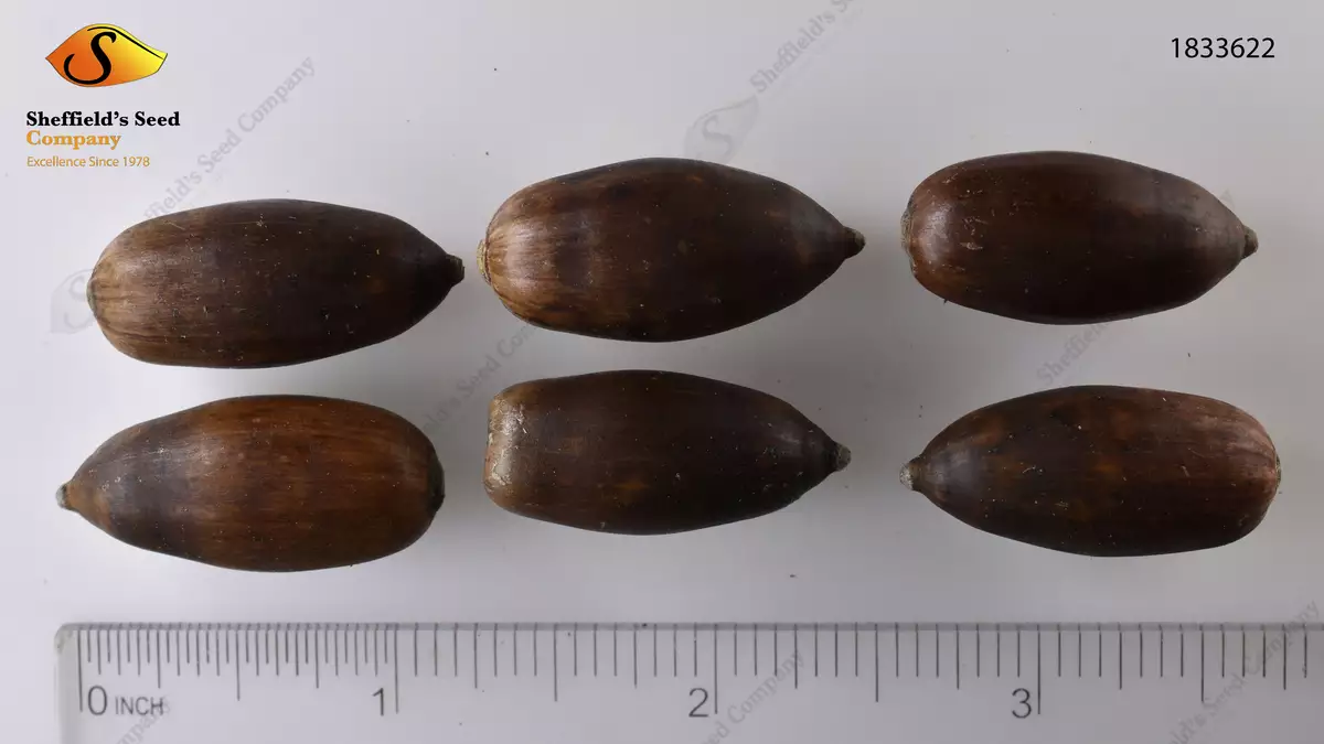 Sheffield's Seed Company