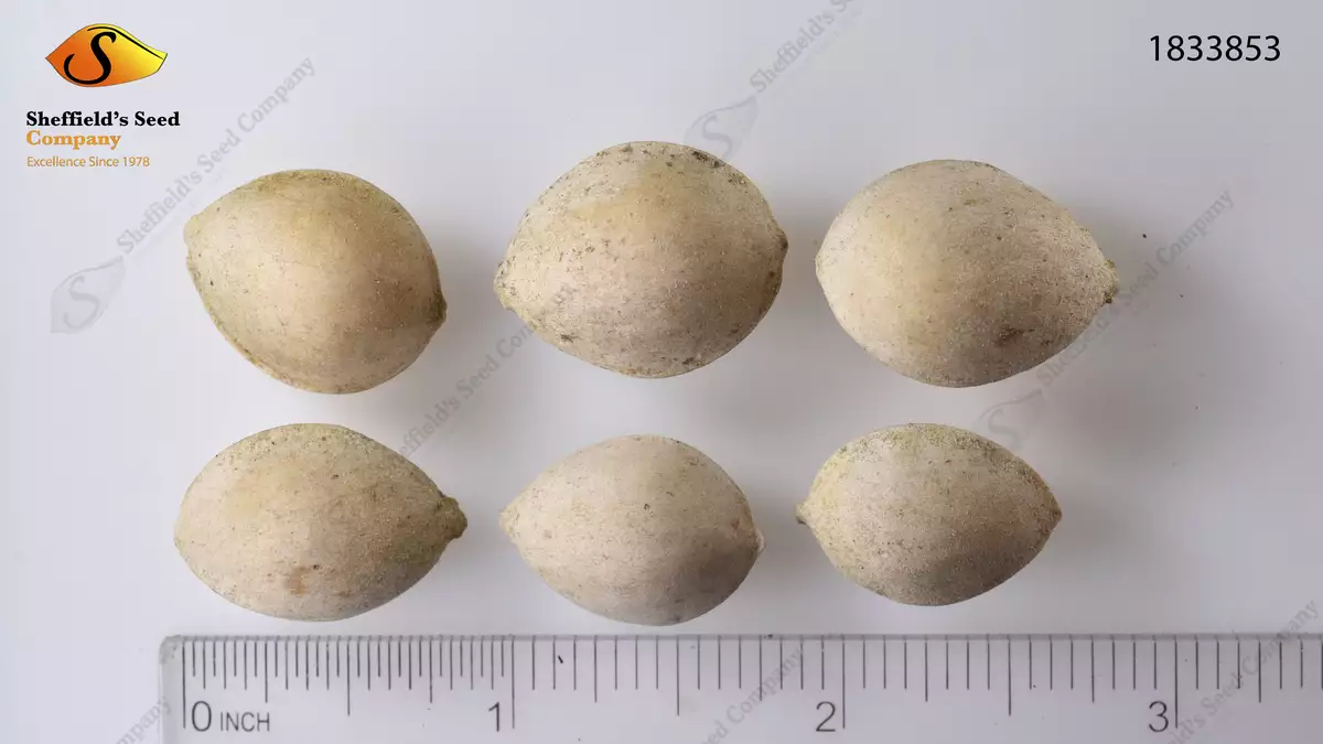 Sheffield's Seed Company