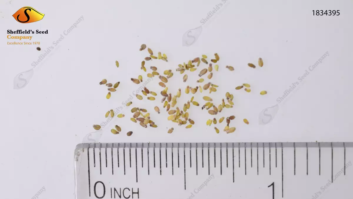 Sheffield's Seed Company