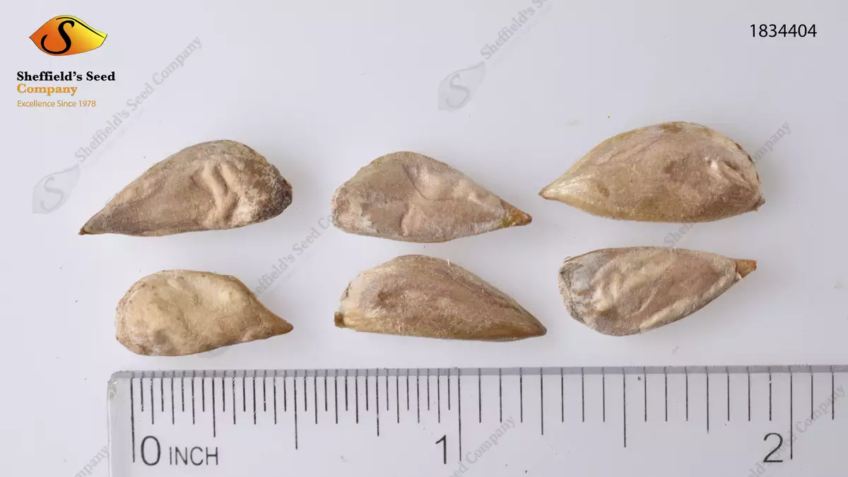 Sheffield's Seed Company