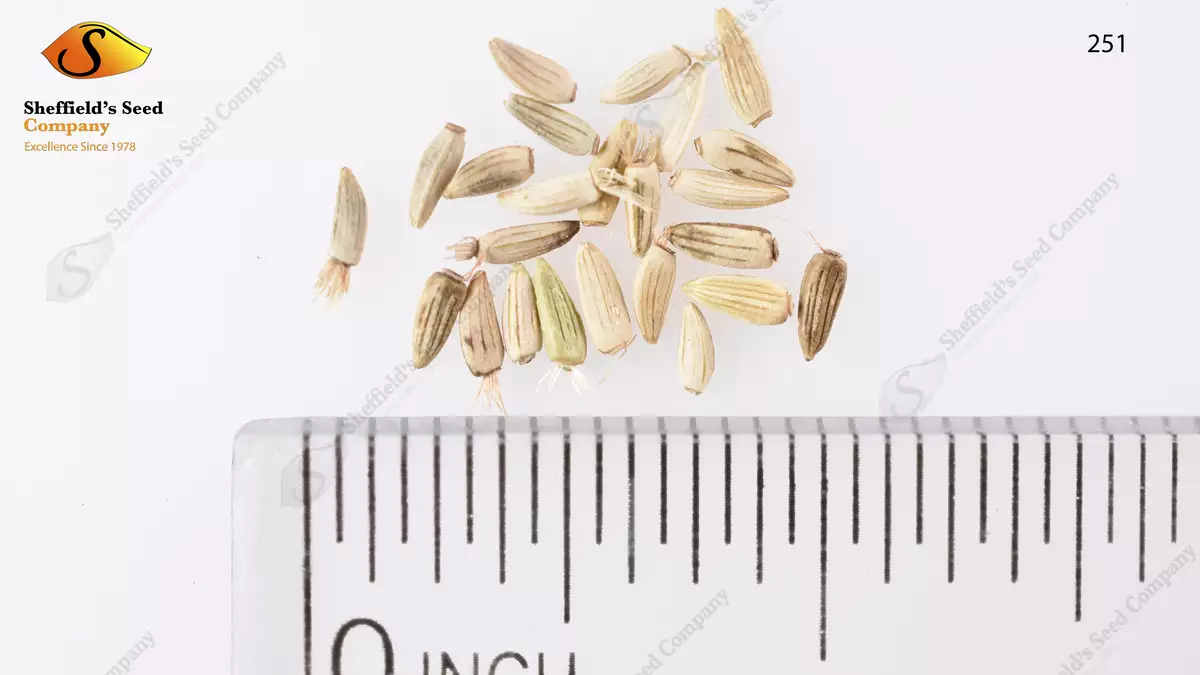 Sheffield's Seed Company