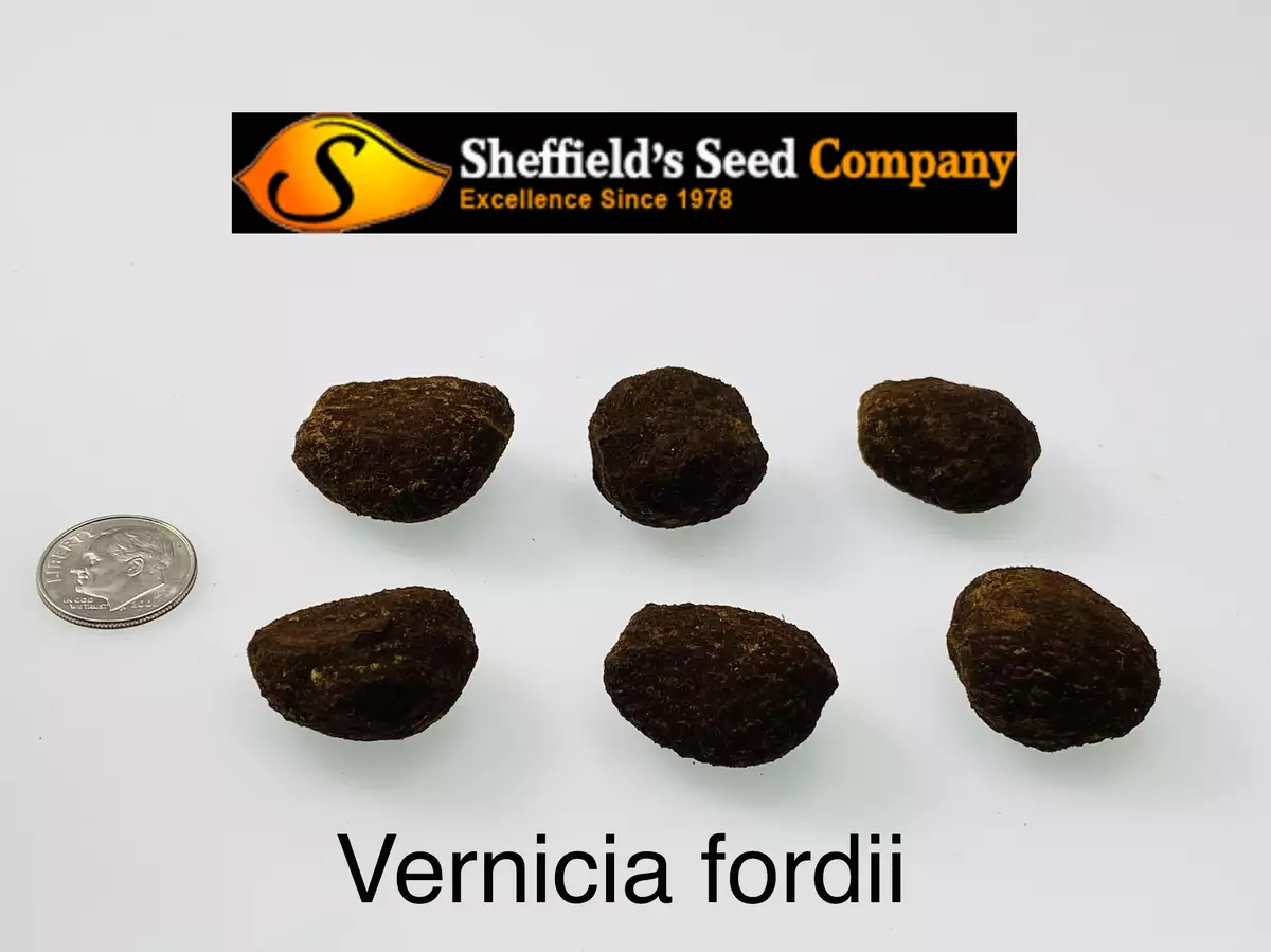 Sheffield's Seed Company