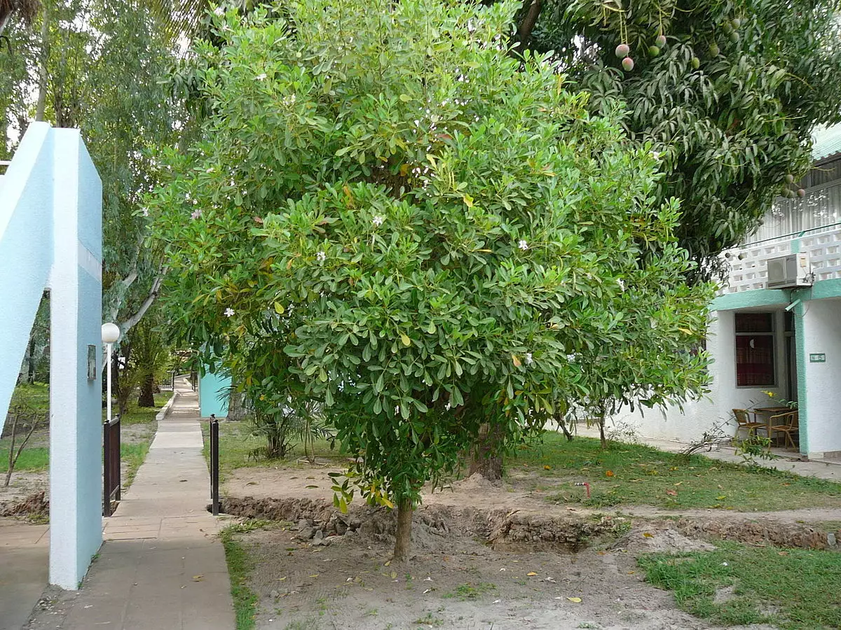 Sheffield's Seed Company