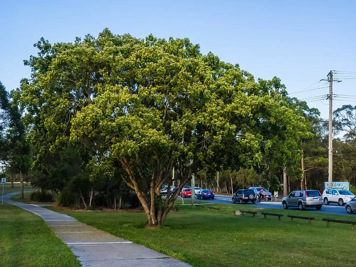 Sheffield's Seed Company