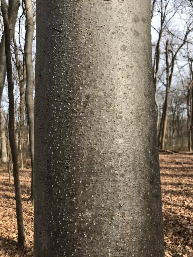 Sheffield's Seed Company