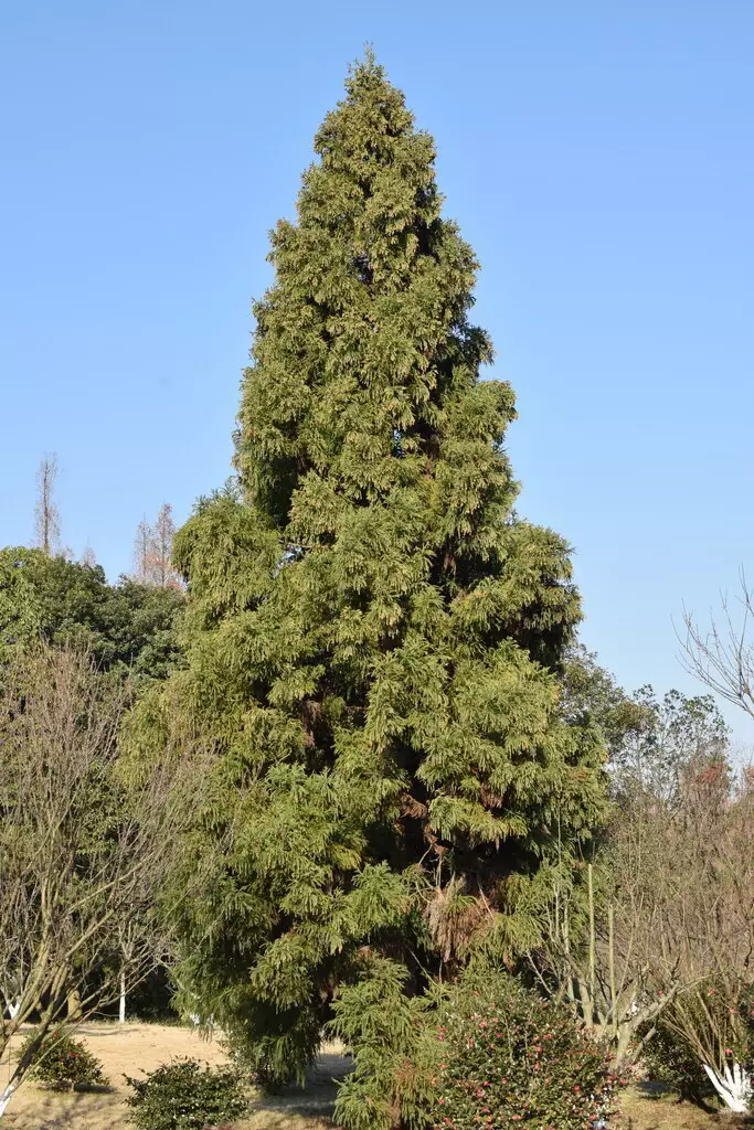 Sheffield's Seed Company