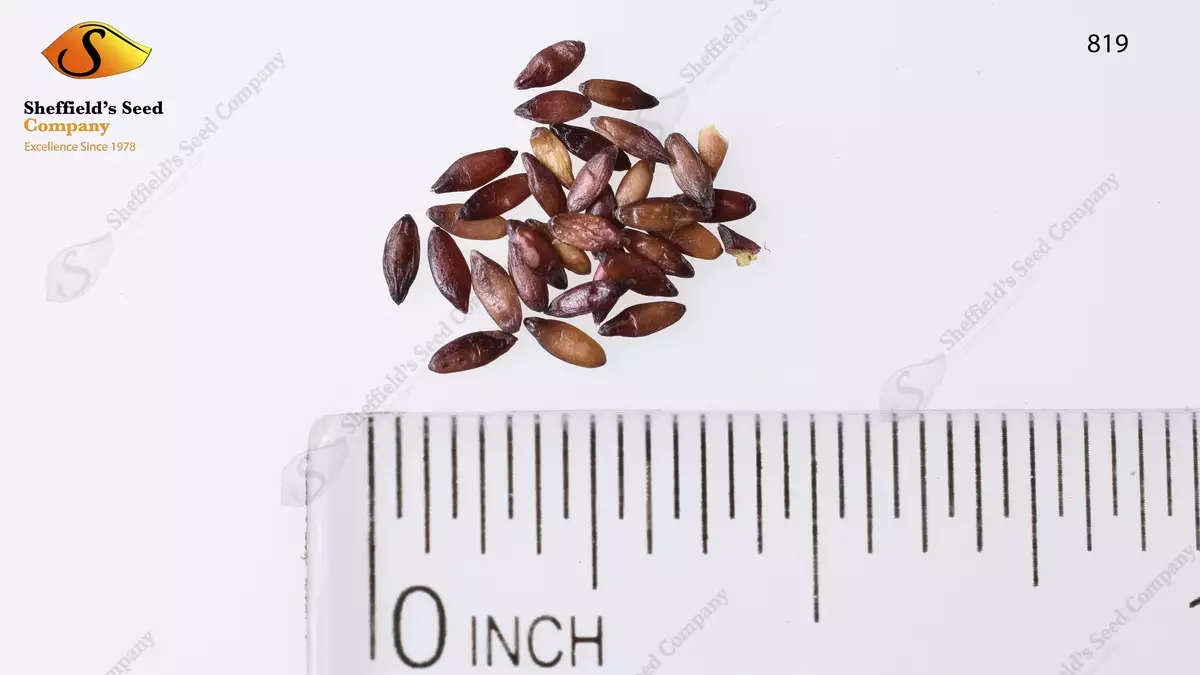 Sheffield's Seed Company