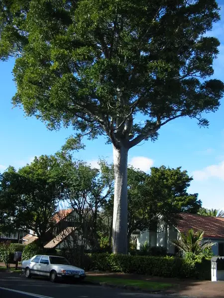 Sheffield's Seed Company