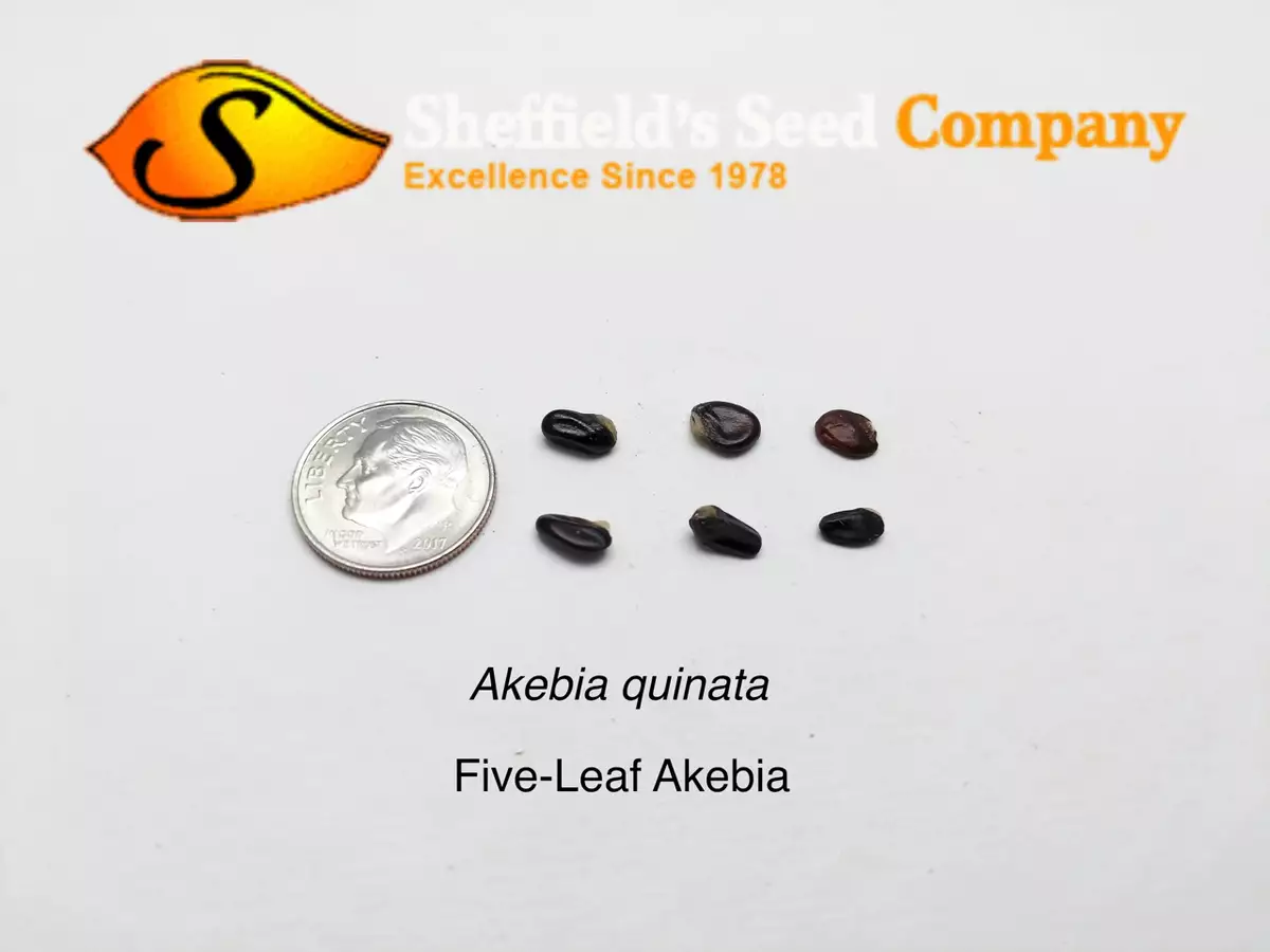 Sheffield's Seed Company