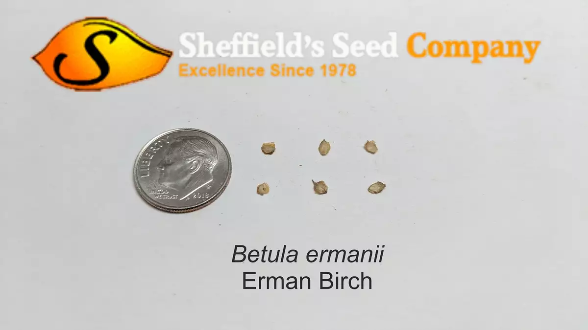 Sheffield's Seed Company