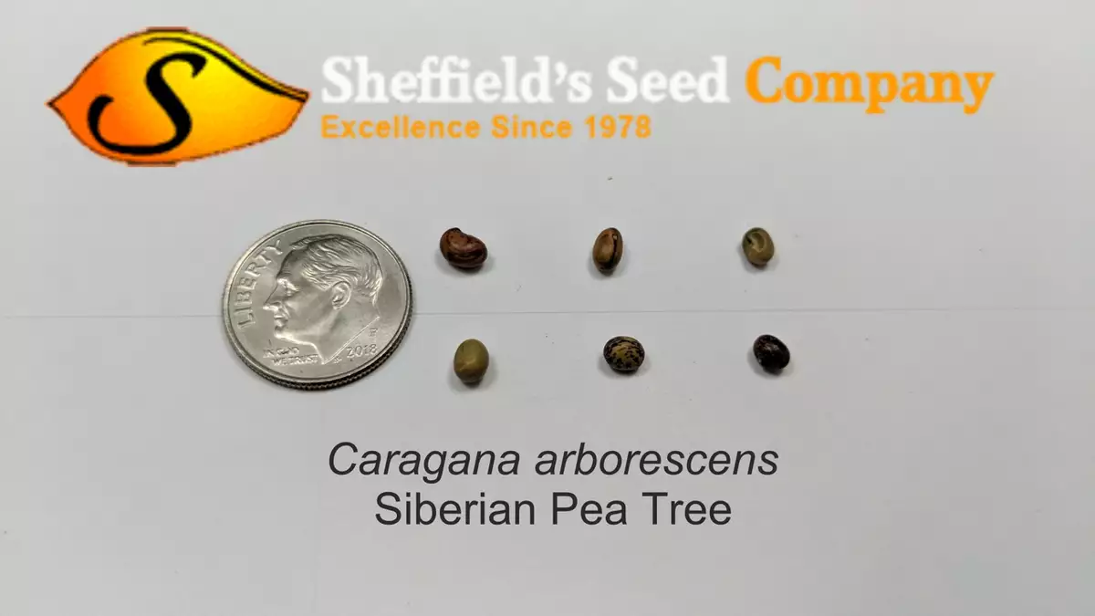 Sheffield's Seed Company