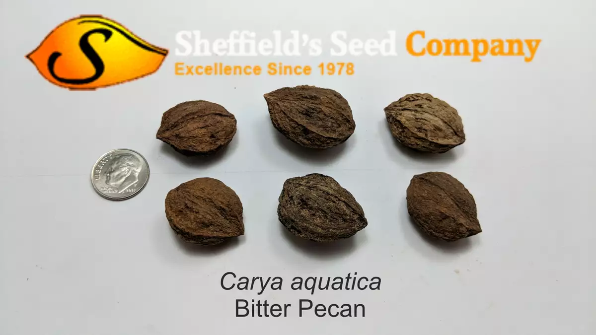 Sheffield's Seed Company